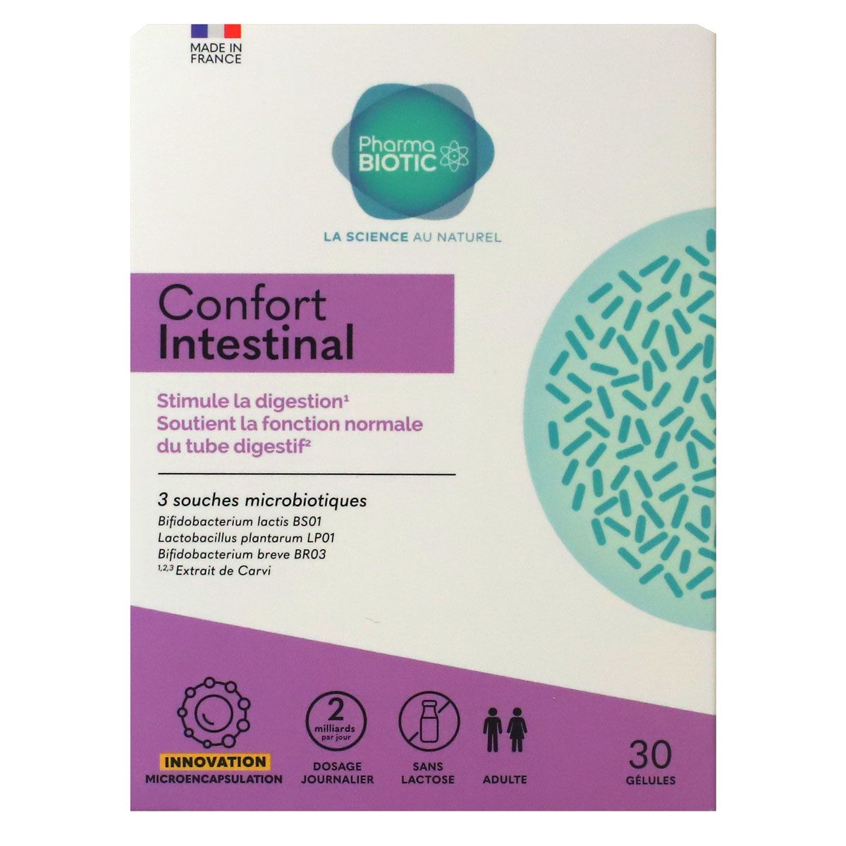Probiotiques qui stimulent la digestion et soutiennent la fonction ...